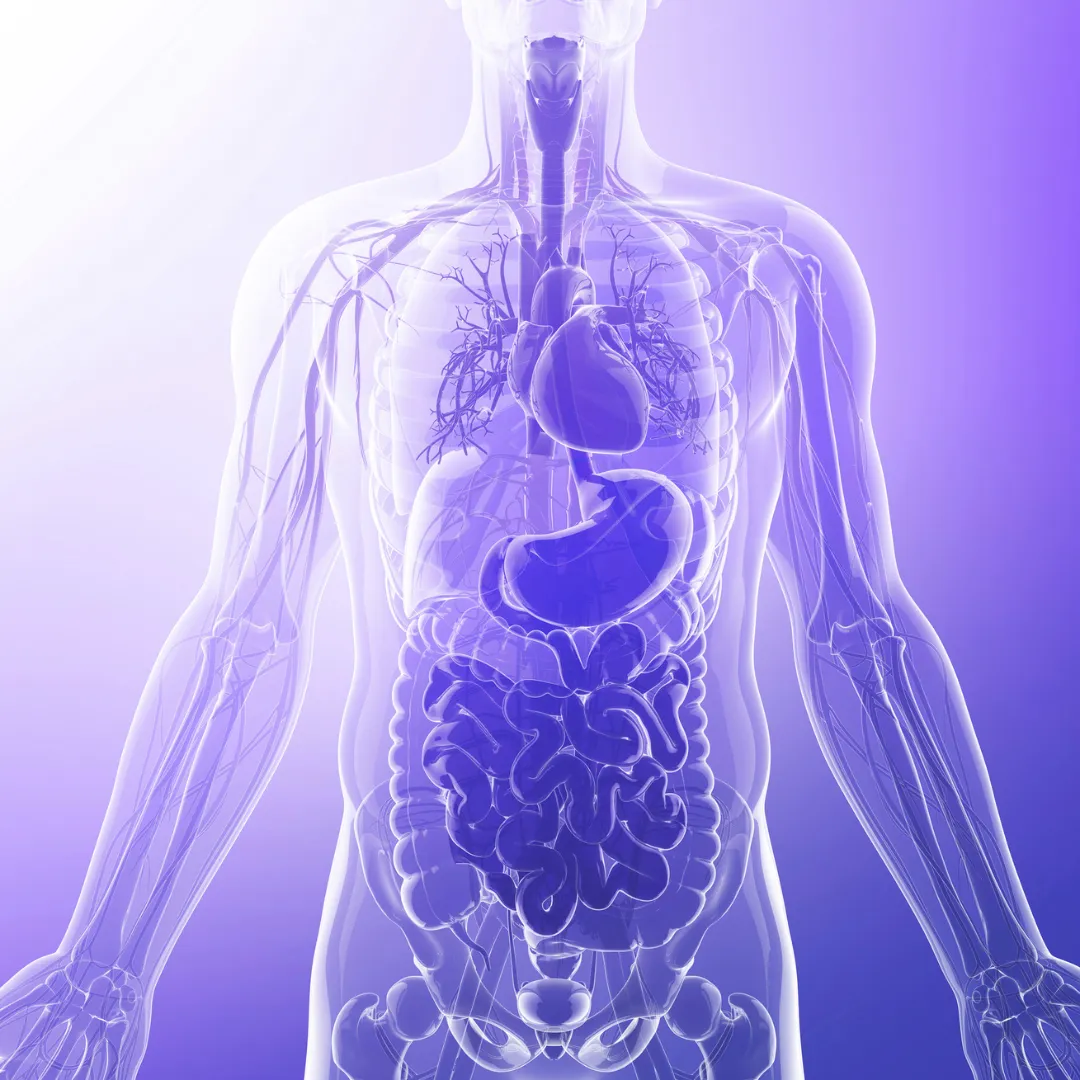How Stress Is Stored in the Body: A Guide to Releasing Pain
